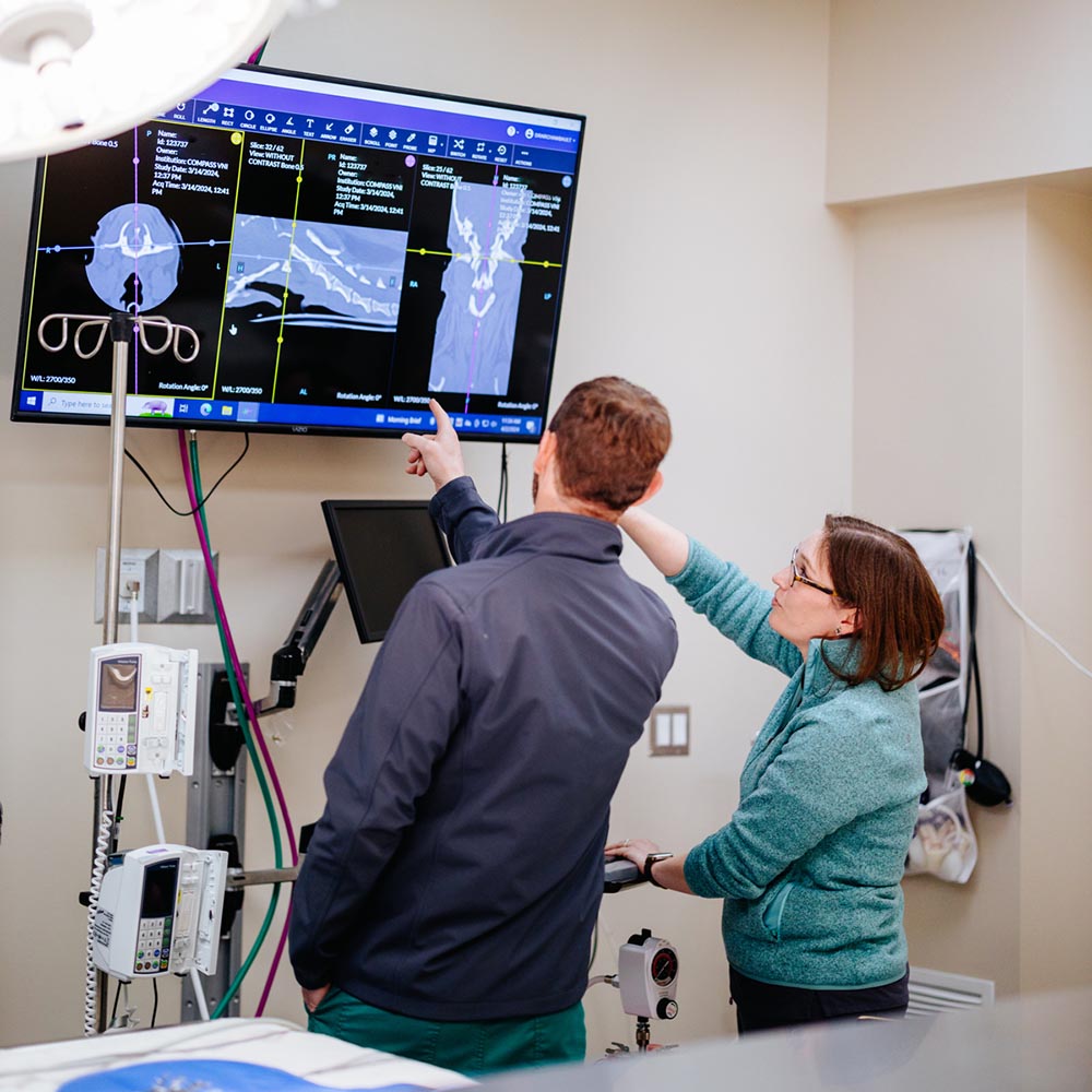 Advanced Veterinary Radiology in Annapolis, MD | Compass Veterinary ...